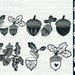 Acorn SVG Bundle, Squirrel PNG Clipart, Fall Autumn Graphics (digital ...