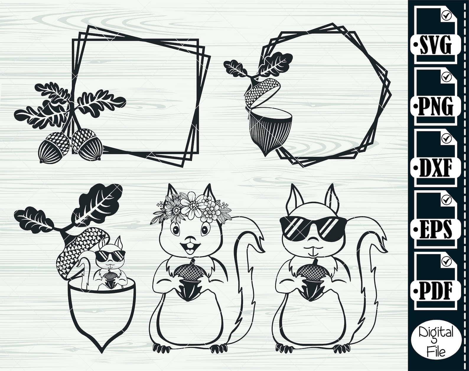 Acorn SVG Bundle, Squirrel PNG Clipart, Fall Autumn Graphics (digital ...