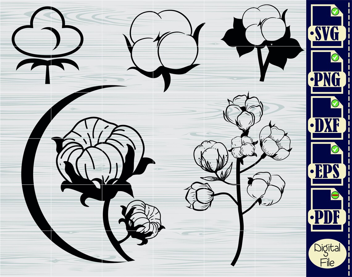 Cotton SVG File Cotton Ball Svg Cotton Branch Svg Cotton - Etsy