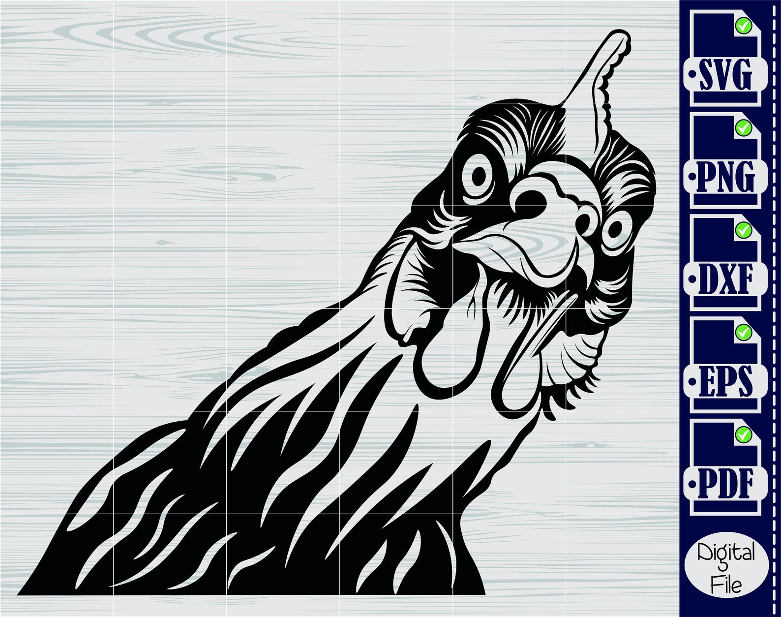 Chicken Svg Files 5 for Cricut Cute Rooster Clipart Farm - Etsy