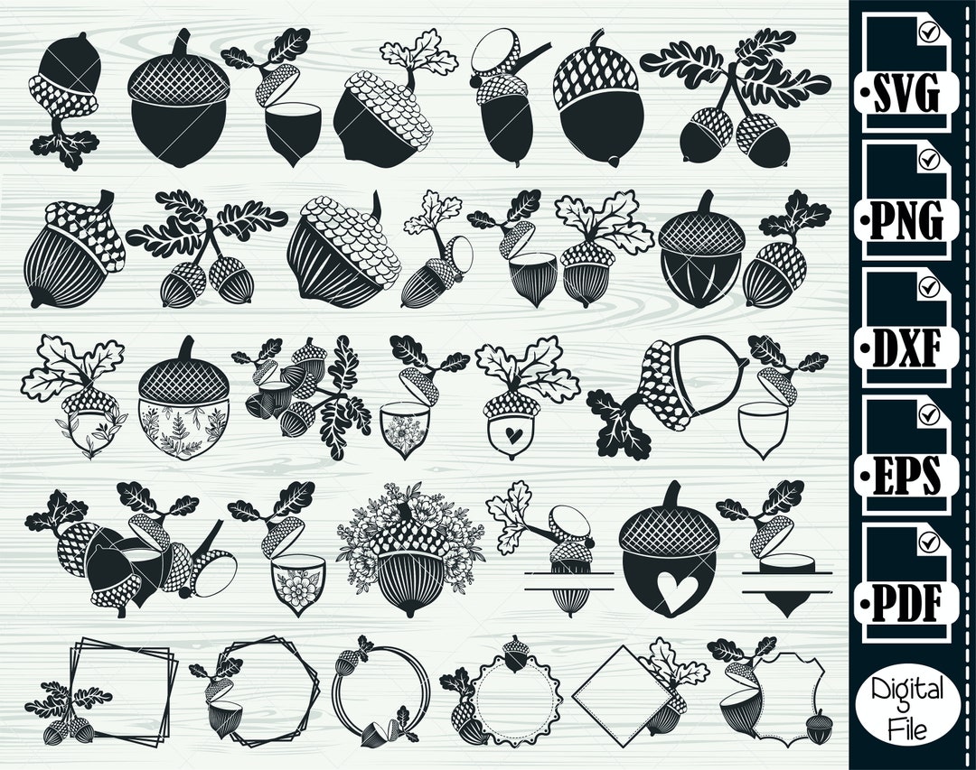 Acorn SVG Bundle,3, Acorn SVG, Oak Frame SVG, Acorn Clipart, Acorn Cut ...