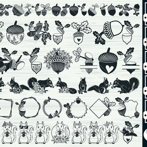 Acorn SVG Bundle, Squirrel PNG Clipart, Fall Autumn Graphics (digital ...