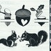 Acorn SVG Bundle, Squirrel PNG Clipart, Fall Autumn Graphics (digital ...