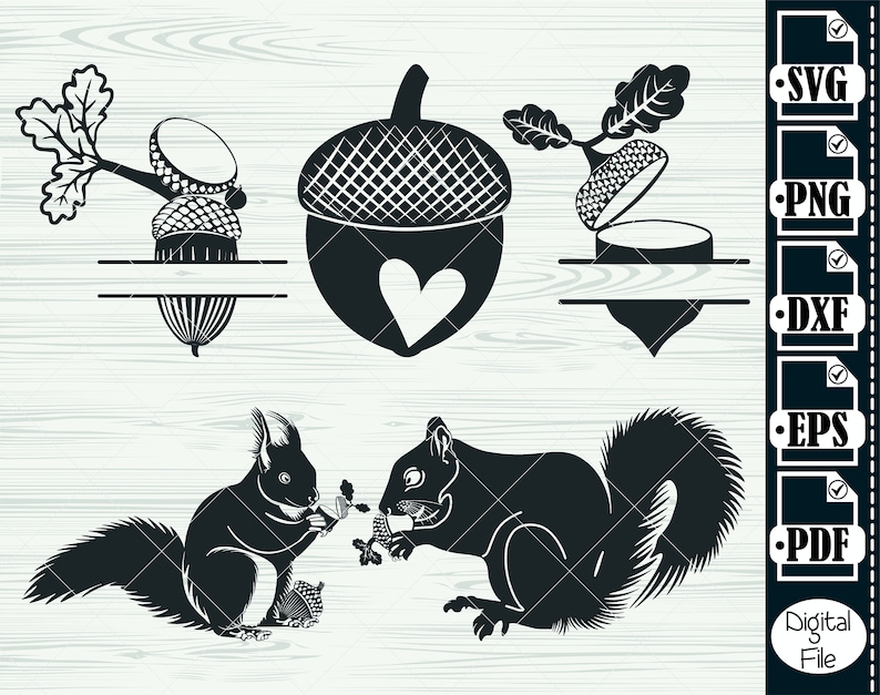 Acorn SVG Bundle, Squirrel PNG Clipart, Fall Autumn Graphics (digital ...