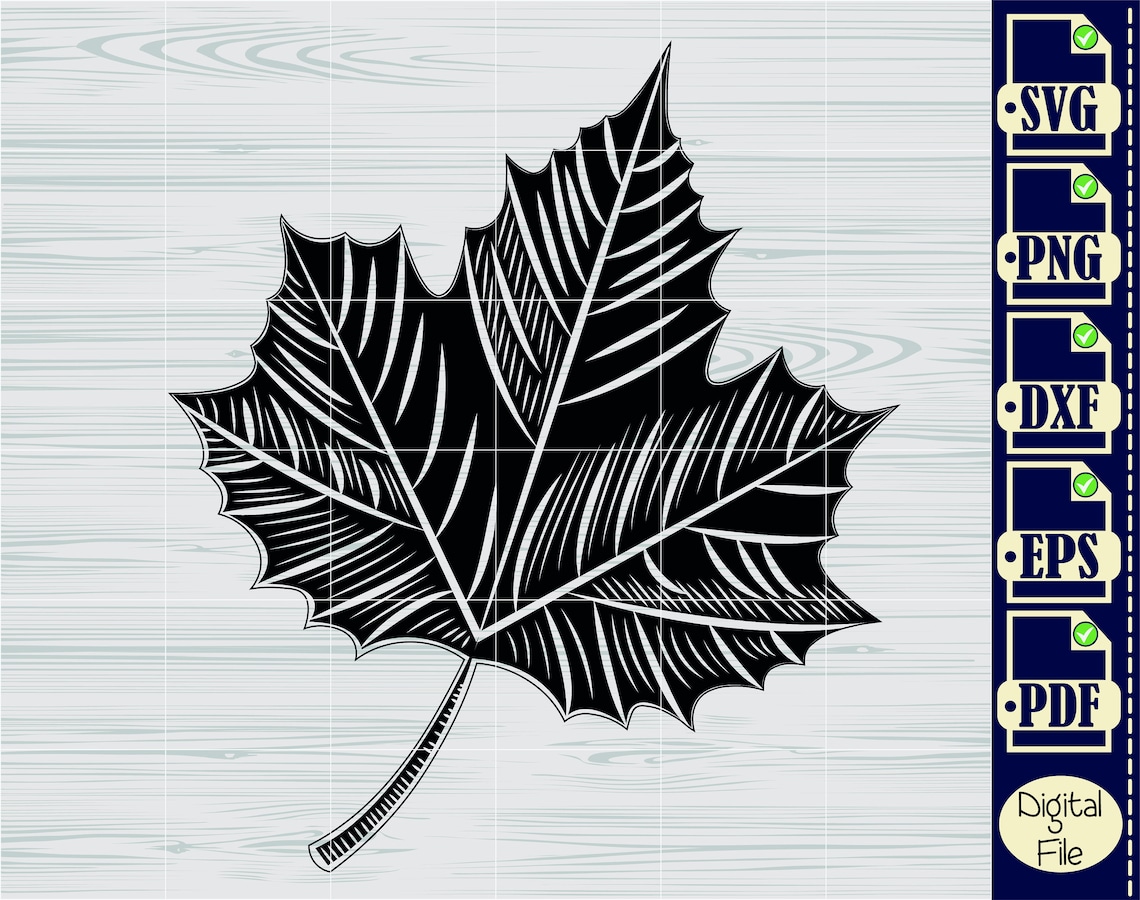 Maple Leaf SVG Bundle Maple Leaf SVG Maple Leaf Clipart Cut - Etsy