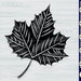 Maple Leaf SVG Bundle, Maple Leaf SVG, Maple Leaf Clipart, Cut Files ...