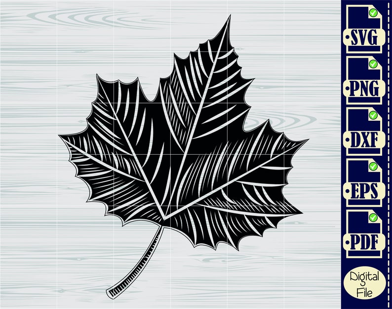 Maple Leaf SVG Bundle Maple Leaf SVG Maple Leaf Clipart Cut - Etsy