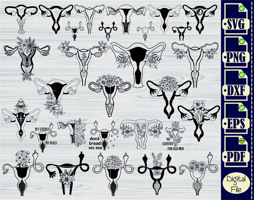 Floral Uterus SVG,2 Uterus Clipart, Floral Bundle, Instant Digital ...