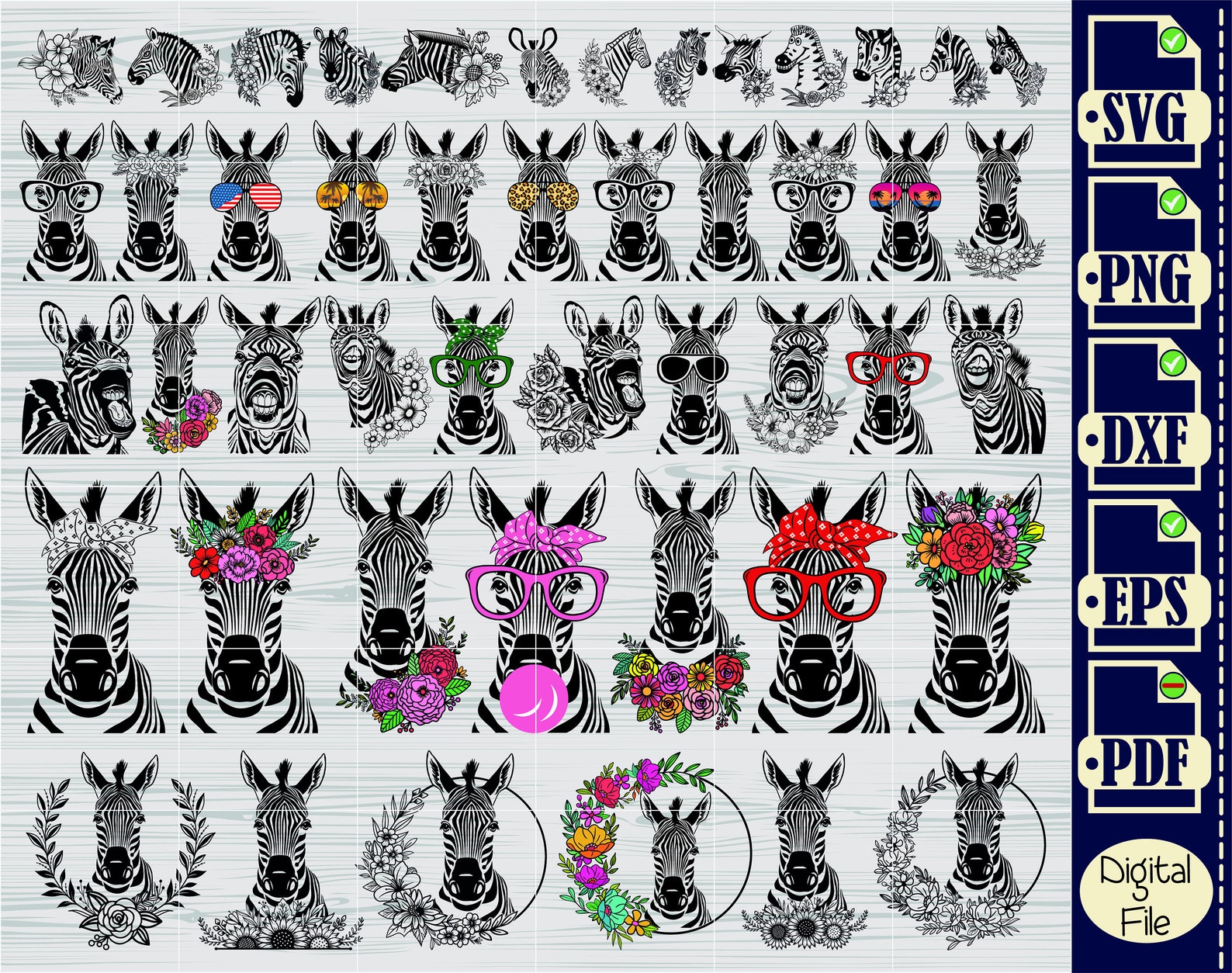 Zebra Svg Floral Zebra Svg Funny Zebra Svg Zebra Cut File - Etsy