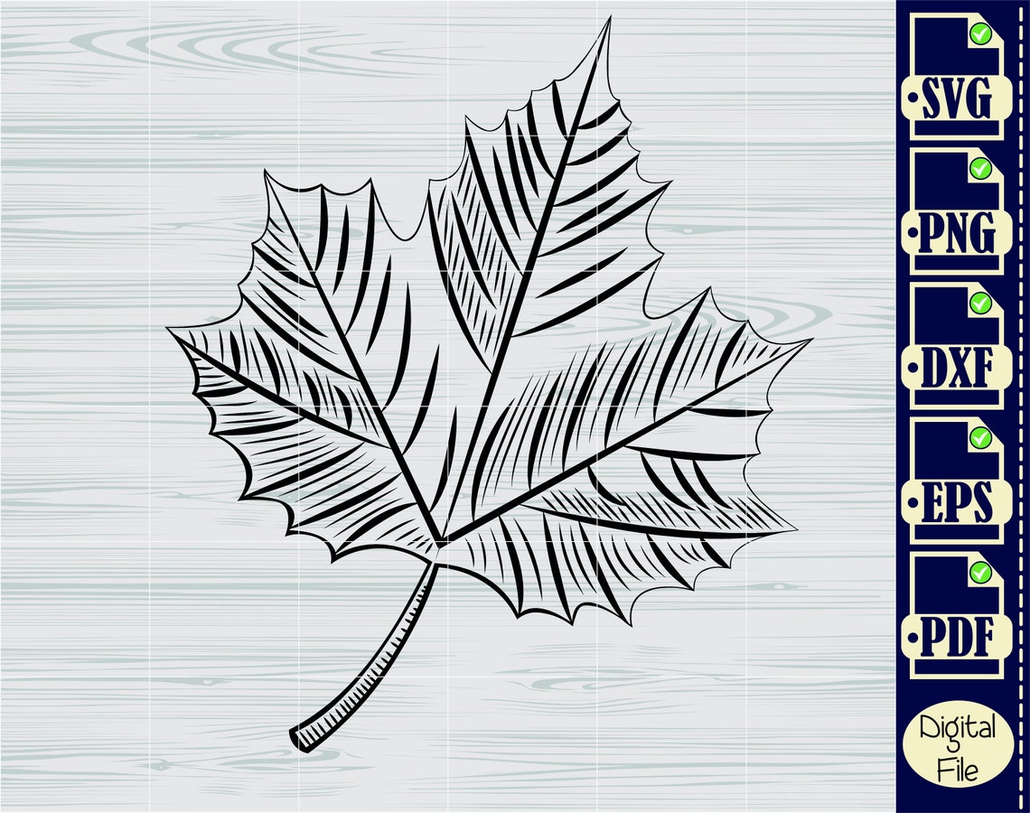 Maple Leaf SVG Bundle Maple Leaf SVG Maple Leaf Clipart Cut - Etsy
