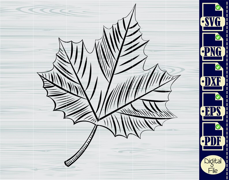 Maple Leaf SVG Bundle Maple Leaf SVG Maple Leaf Clipart Cut - Etsy