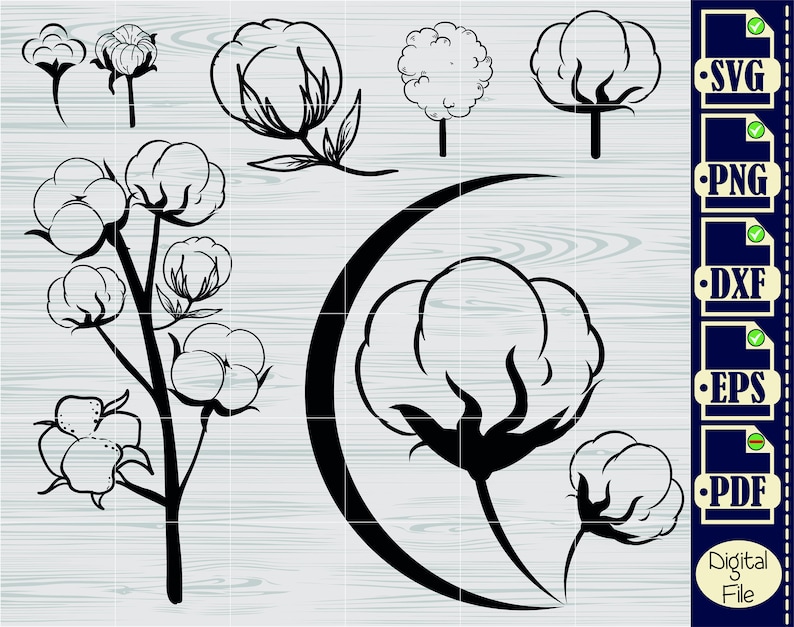 Cotton SVG File, Cotton Ball Svg, Cotton Branch Svg, Cotton Clipart ...