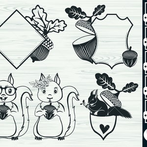Acorn Squirrel Svg File,1, Floral Squirrel Svg, Acorns and Leaves, Oak ...