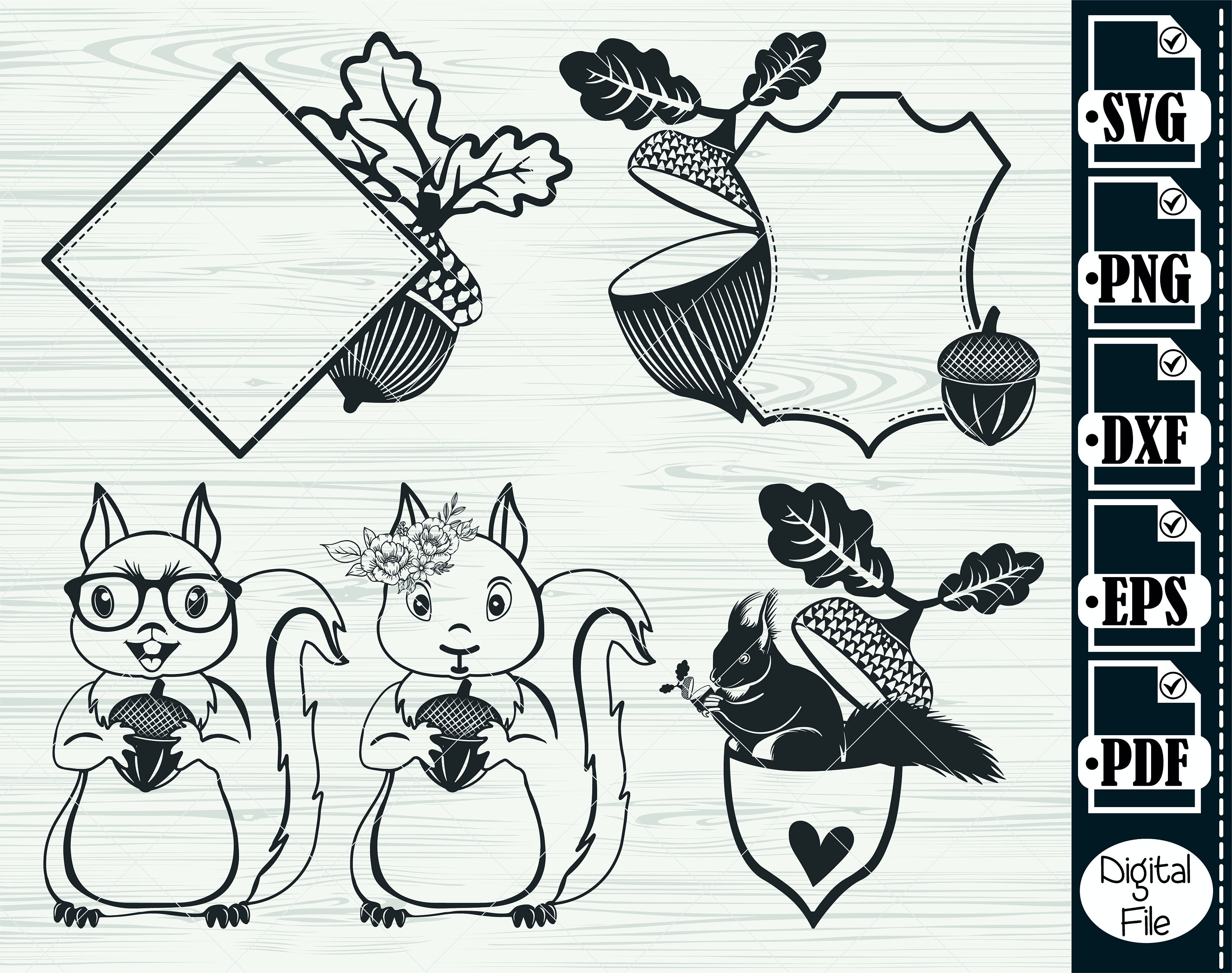Acorn SVG Bundle, Squirrel PNG Clipart, Fall Autumn Graphics (digital ...