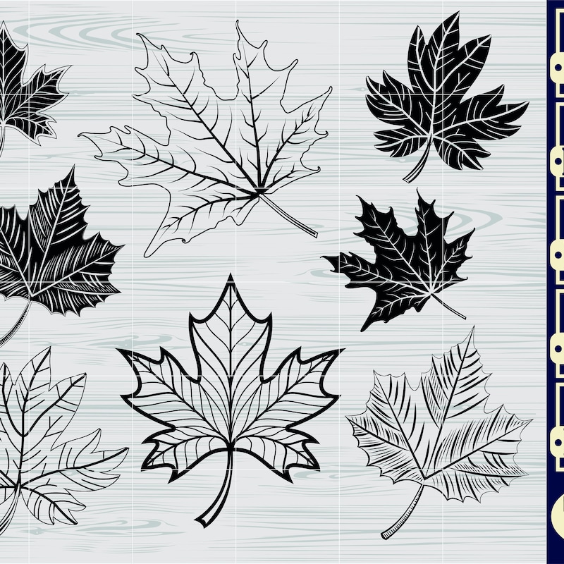 Maple Leaf Design - Etsy