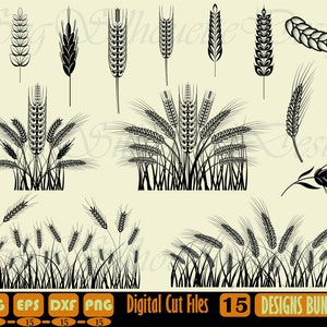 Wheat SVG Bundle, Wheat SVG, Grain Svg, Wheat Clipart, Wheat Cut Files ...