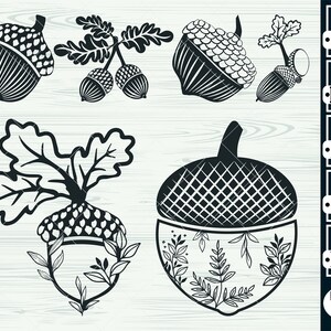 Acorn SVG Bundle, Squirrel PNG Clipart, Fall Autumn Graphics (digital ...