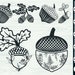 Acorn SVG Bundle, Squirrel PNG Clipart, Fall Autumn Graphics (digital ...