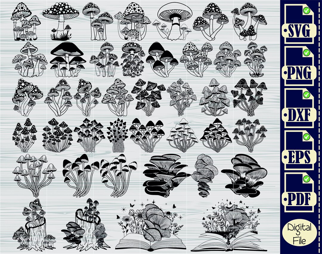 Mushroom Svg,2, Fungus Svg, Mushroom Clipart, Cut File, Fungus Clipart ...