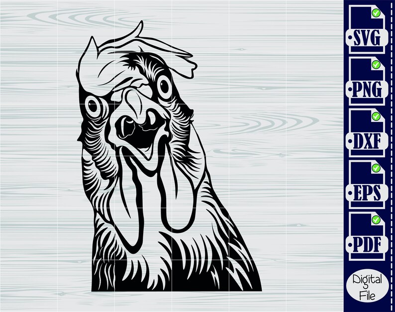 Chicken Svg Files 5 for Cricut Cute Rooster Clipart Farm - Etsy