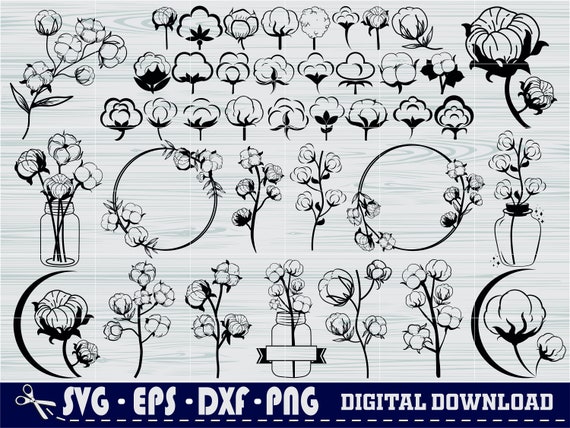 Cotton SVG File Cotton Ball Svg Cotton Branch Svg Cotton - Etsy Australia