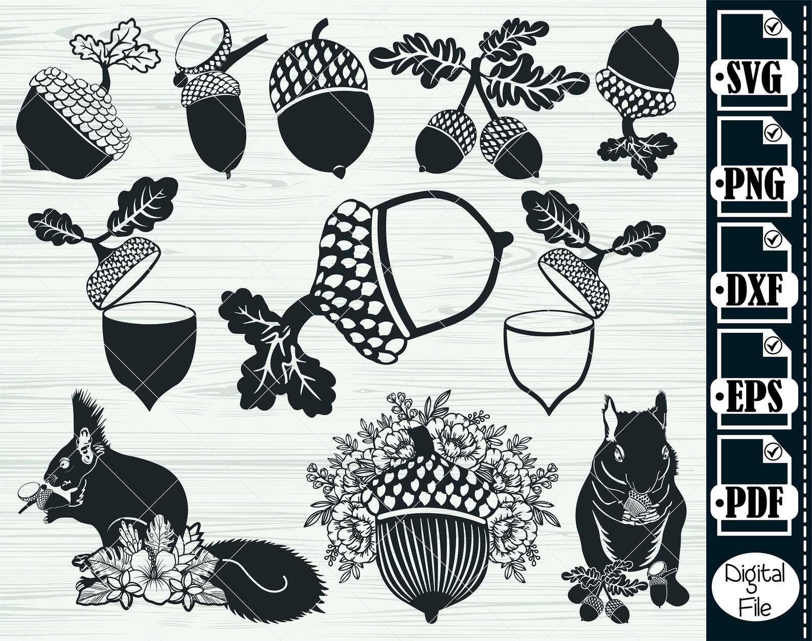 Acorn SVG Bundle, Squirrel PNG Clipart, Fall Autumn Graphics (digital ...