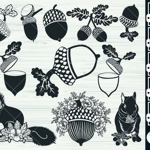 Acorn SVG Bundle, Squirrel PNG Clipart, Fall Autumn Graphics (digital ...