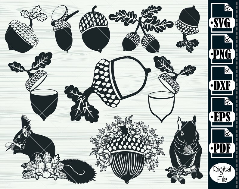 Acorn SVG Bundle, Squirrel PNG Clipart, Fall Autumn Graphics (digital ...