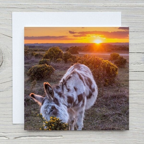 Donkey Print - Etsy Sweden