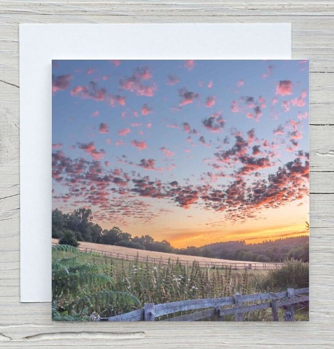 New Forest Photo Blank Greetings Card, 'sunset at Frogham' Carbon ...