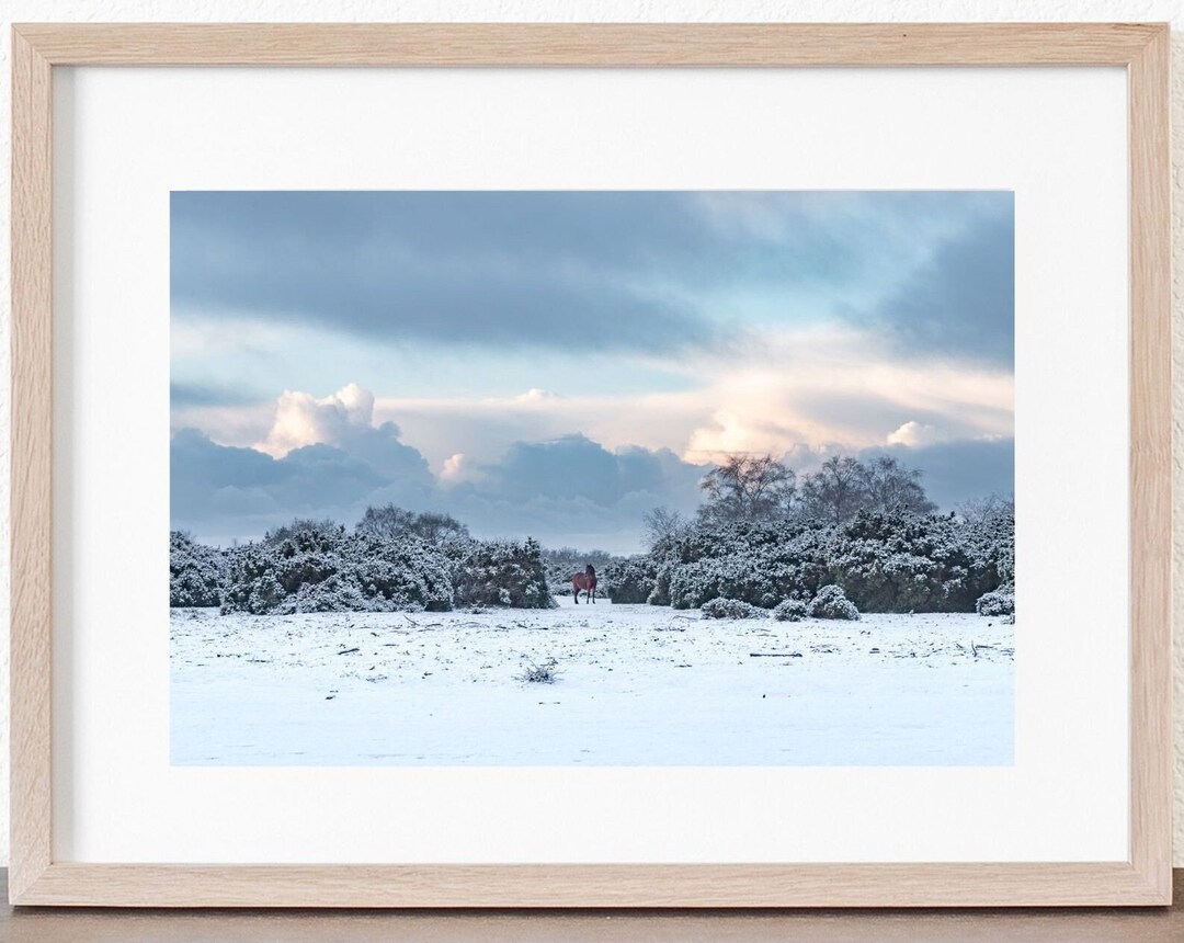New Forest Snow Print: Winter Sky Landscape Photography - Etsy