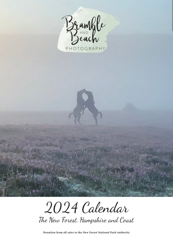 New Forest Calendar 2024 Year - Dec 2024 Calendar Printable New Forest Calendar 2024 Year - Dec 2024 Calendar Printable