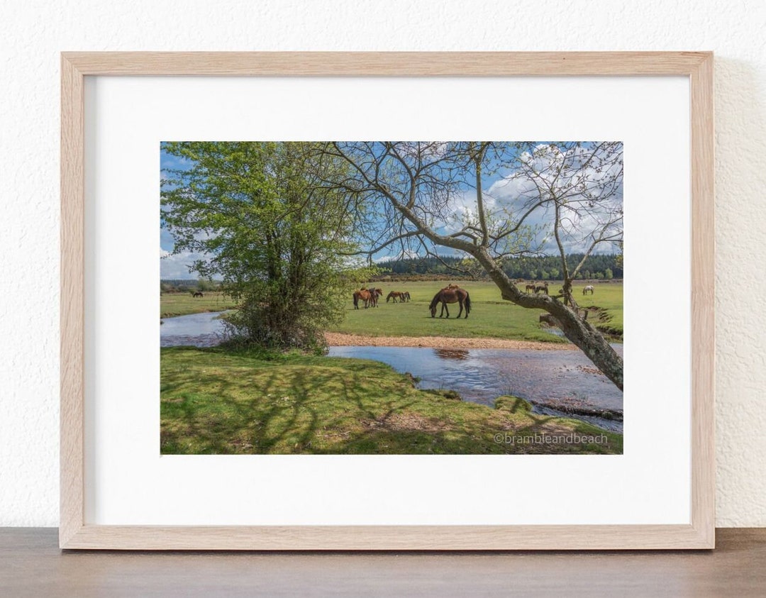 The New Forest Print in Ivory Mount 'new Forest Ponies at Dockens Water ...