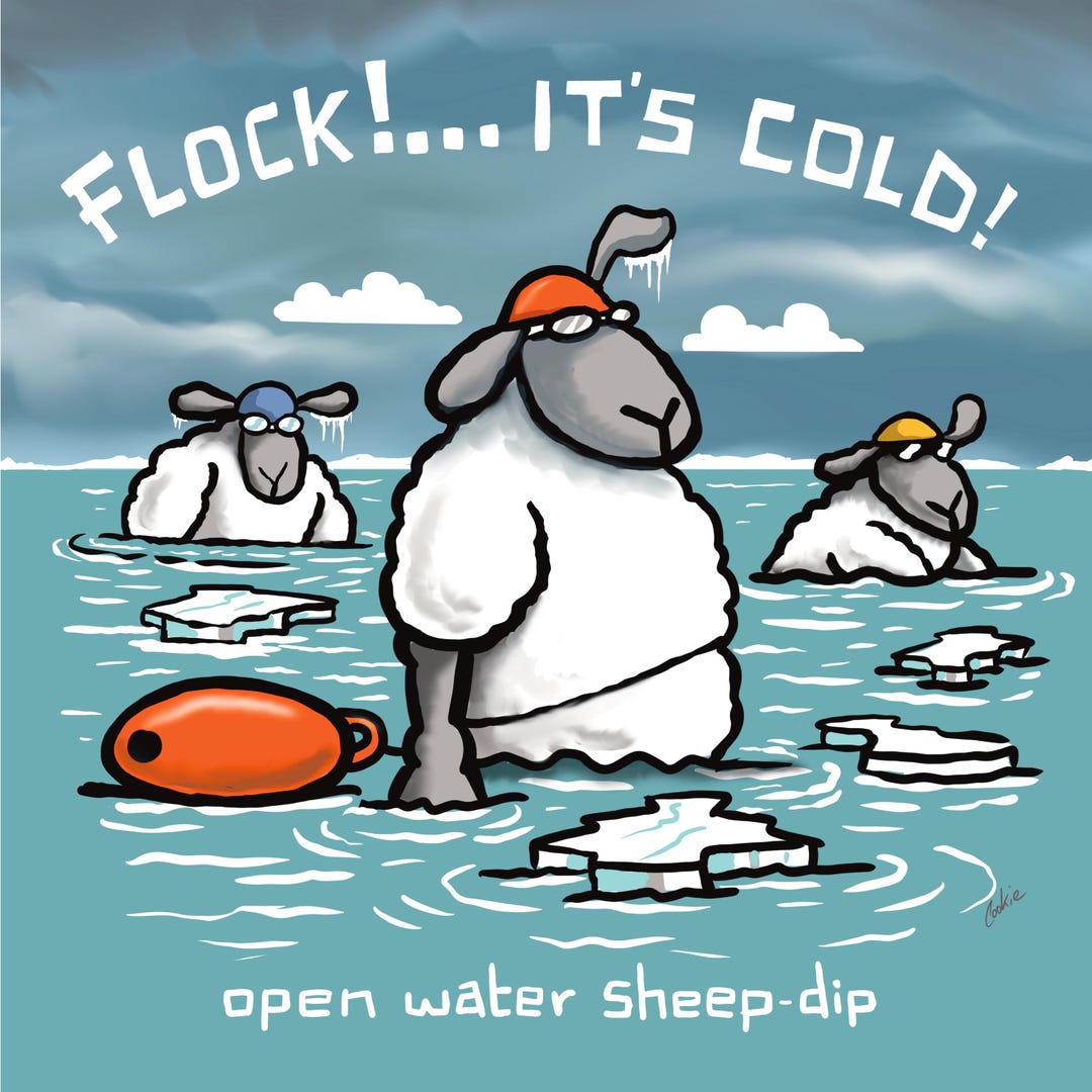 FLOCKER | Flock It's Cold | Blank Greetings Cards - Etsy UK