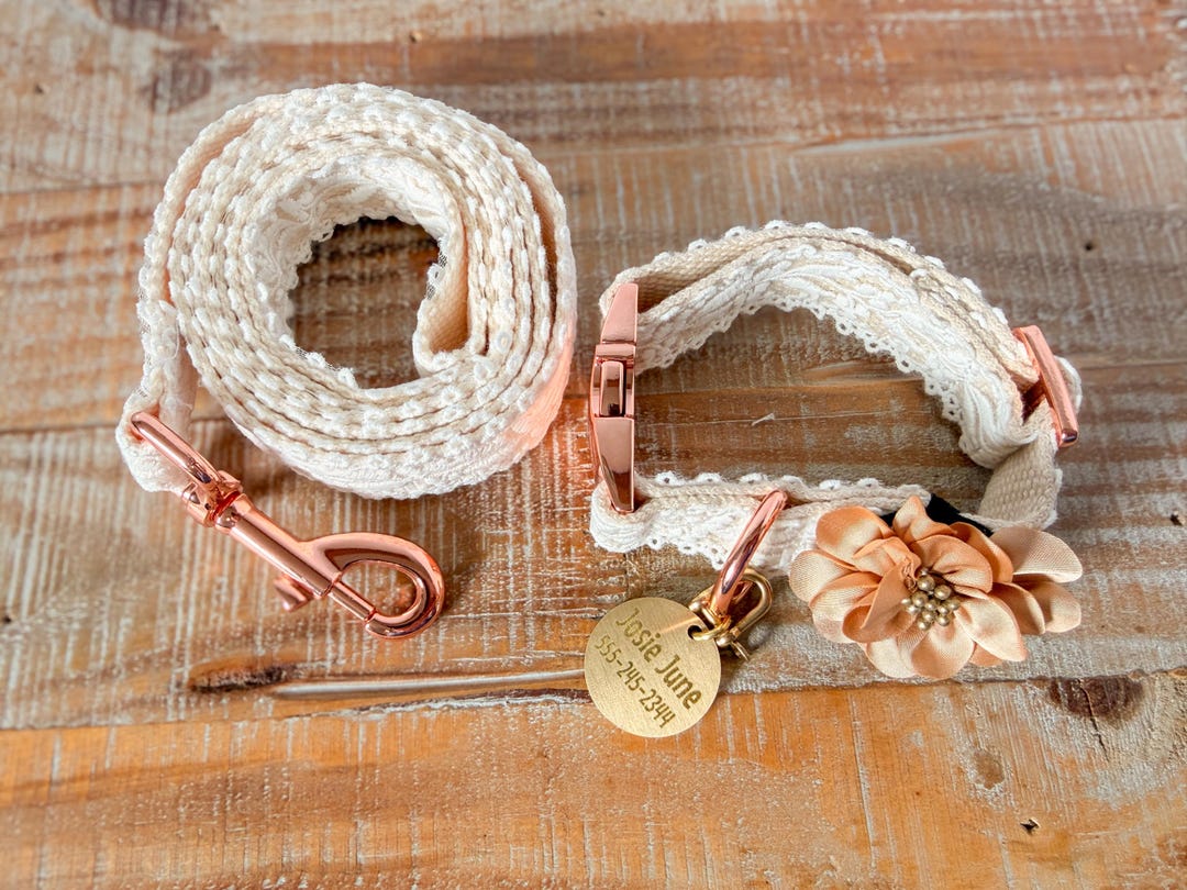 Lace Dog Collar and Leash Set: Cream, Silk Flower, Engraved ID Tag - Etsy