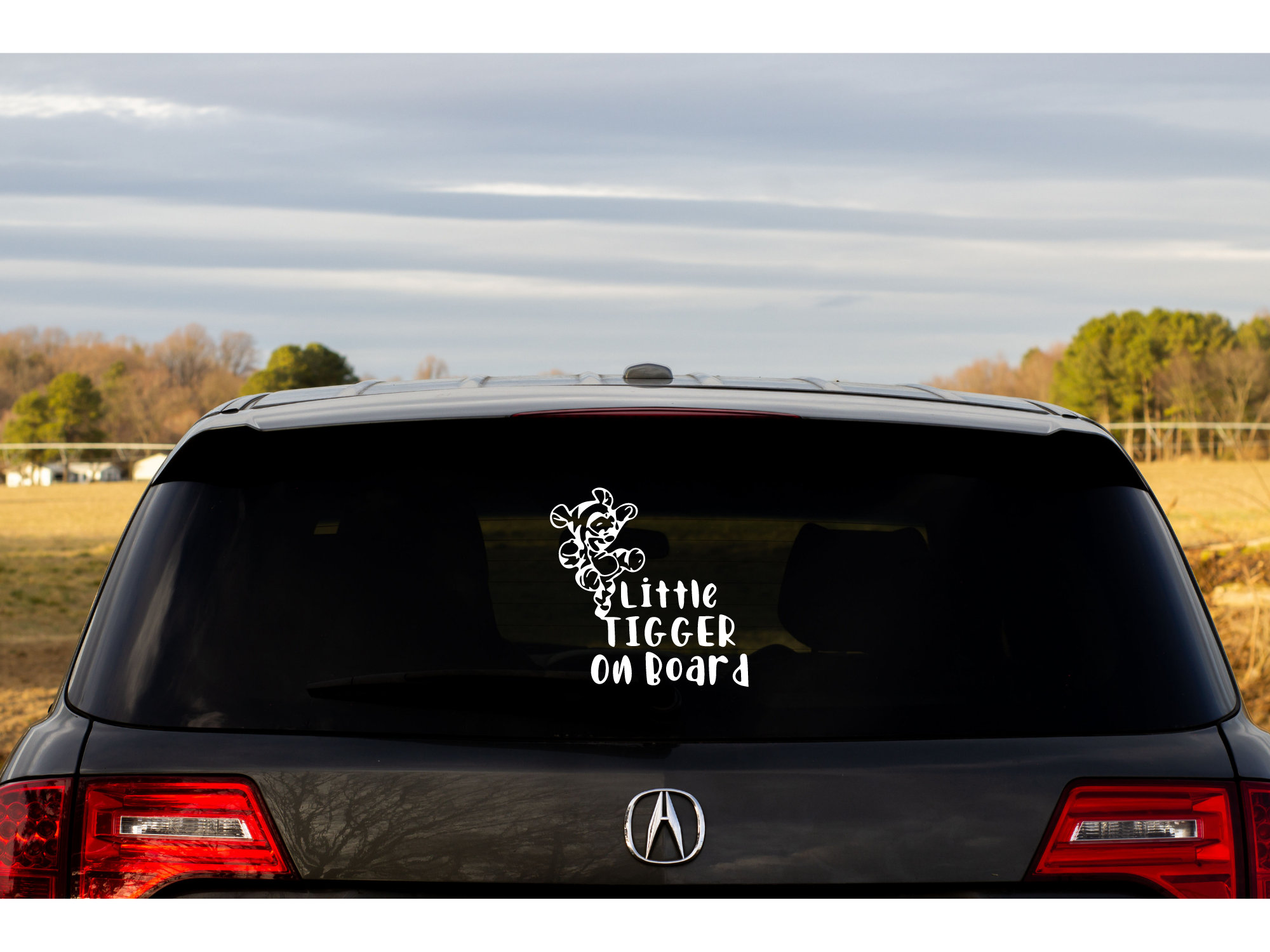 Tigger on Board Decal//little Tigger on Board Decal//winnie - Etsy
