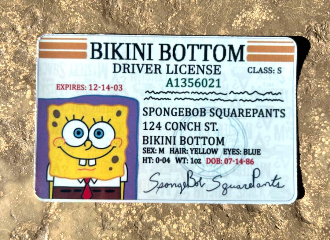 Sponge Driver License Bob Sticker Holographic Waterproof Vinyl Creative ...