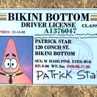 Patrick Star - Etsy