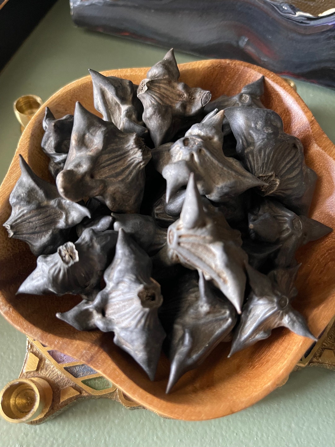 Bat Nut Water Caltrop - Etsy