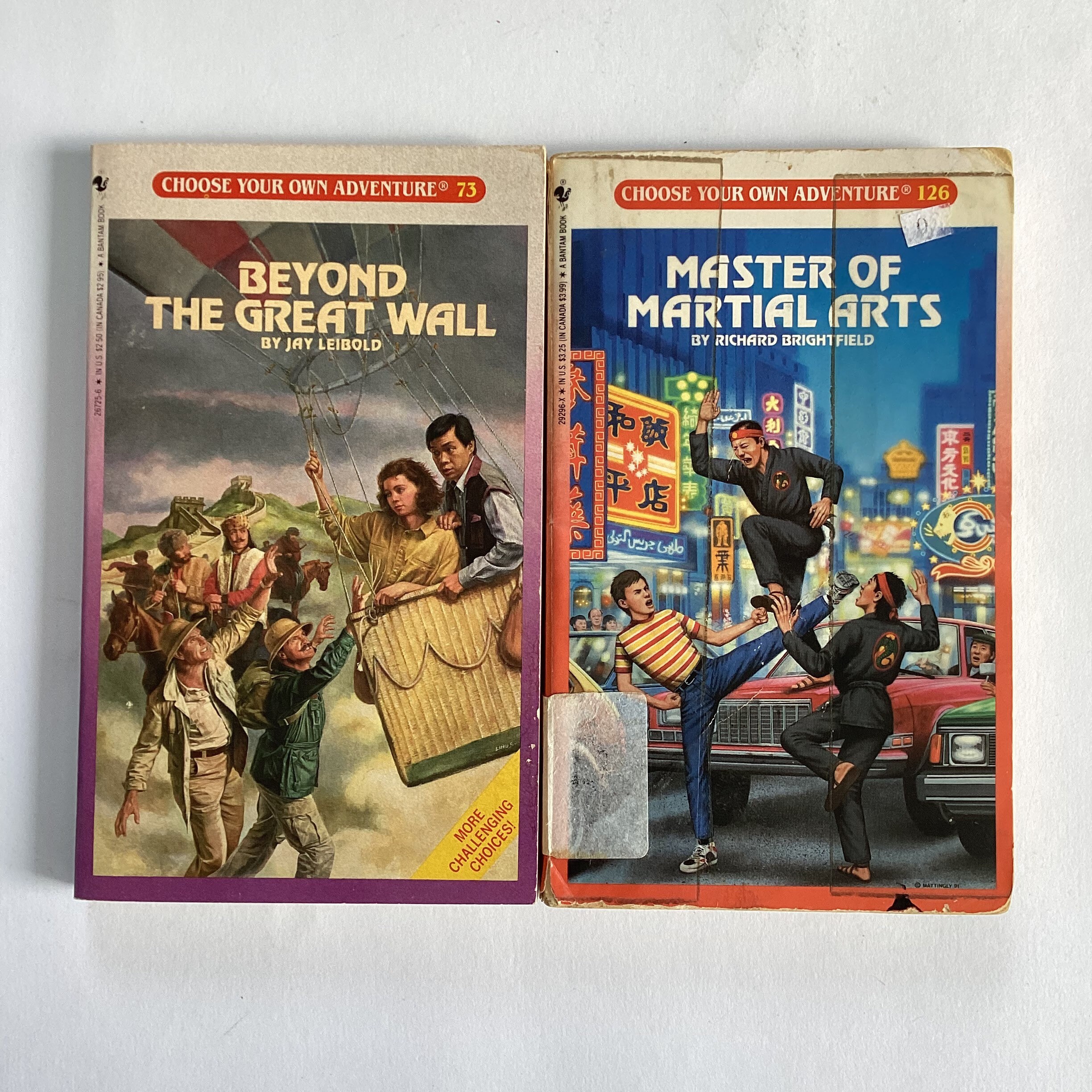 Choose Your Own Adventure | ppgbbe.intranet.biologia.ufrj.br