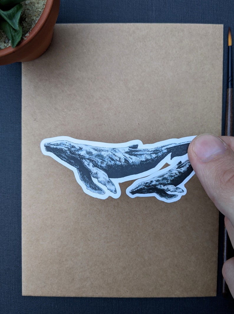 Blue Whale Sticker | Original Watercolor Vinyl Sticker - Etsy