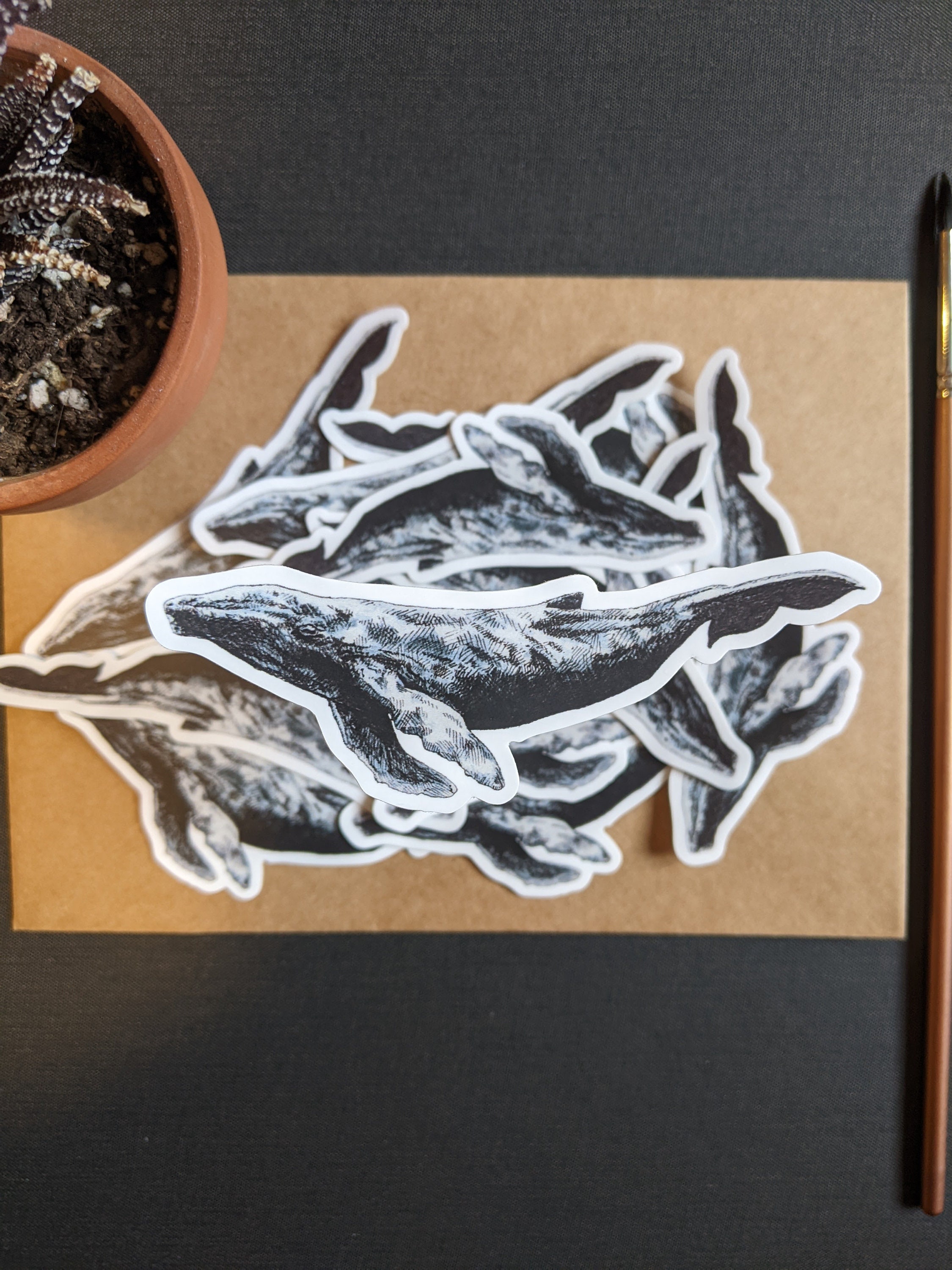 Blue Whale Sticker | Original Watercolor Vinyl Sticker - Etsy