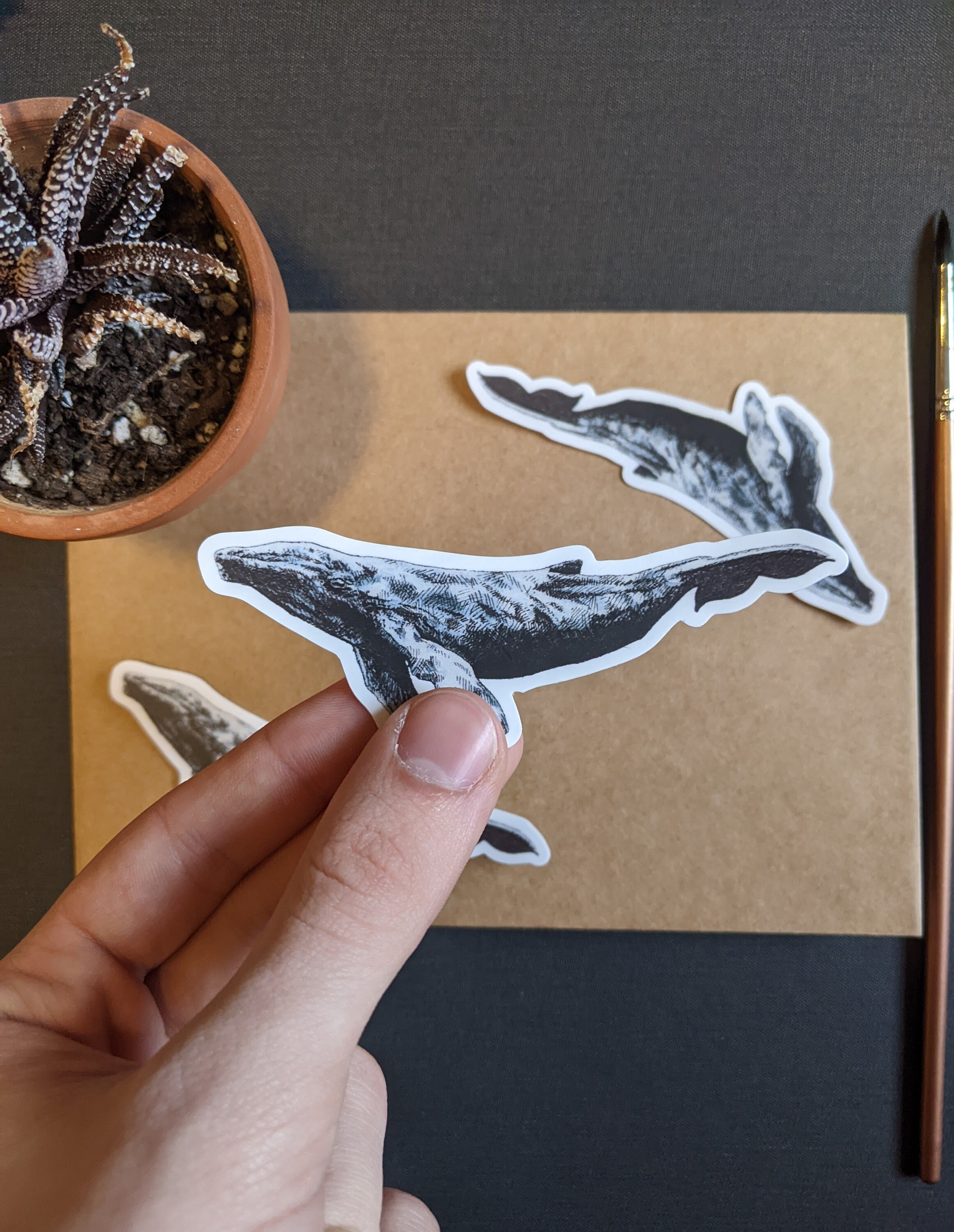 Blue Whale Sticker | Original Watercolor Vinyl Sticker - Etsy