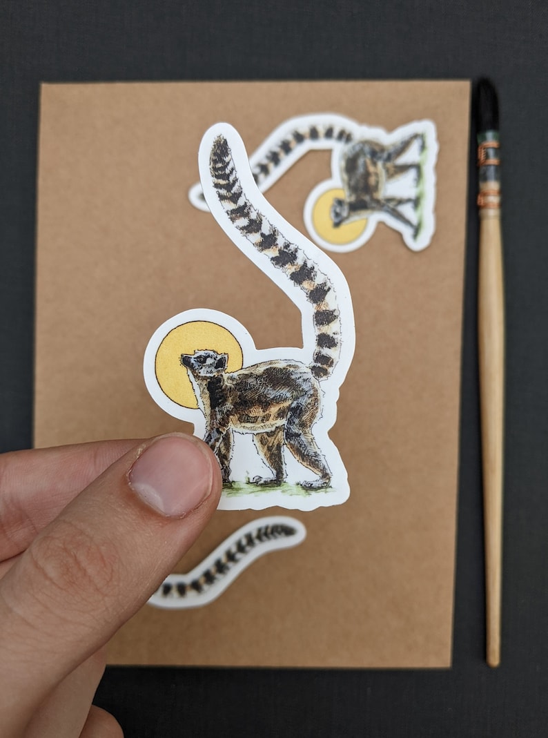 Ring-tailed Lemur — Original Watercolor Vinyl Sticker 3" - Etsy