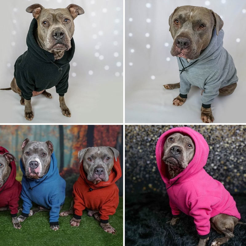 Pitbull Clothes - Etsy
