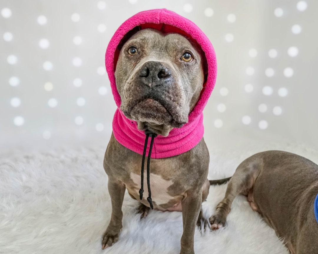 Pink Pitbull Snood Hoodie | Dog Ear Protection Hat, Neck Warmer, Scarf ...