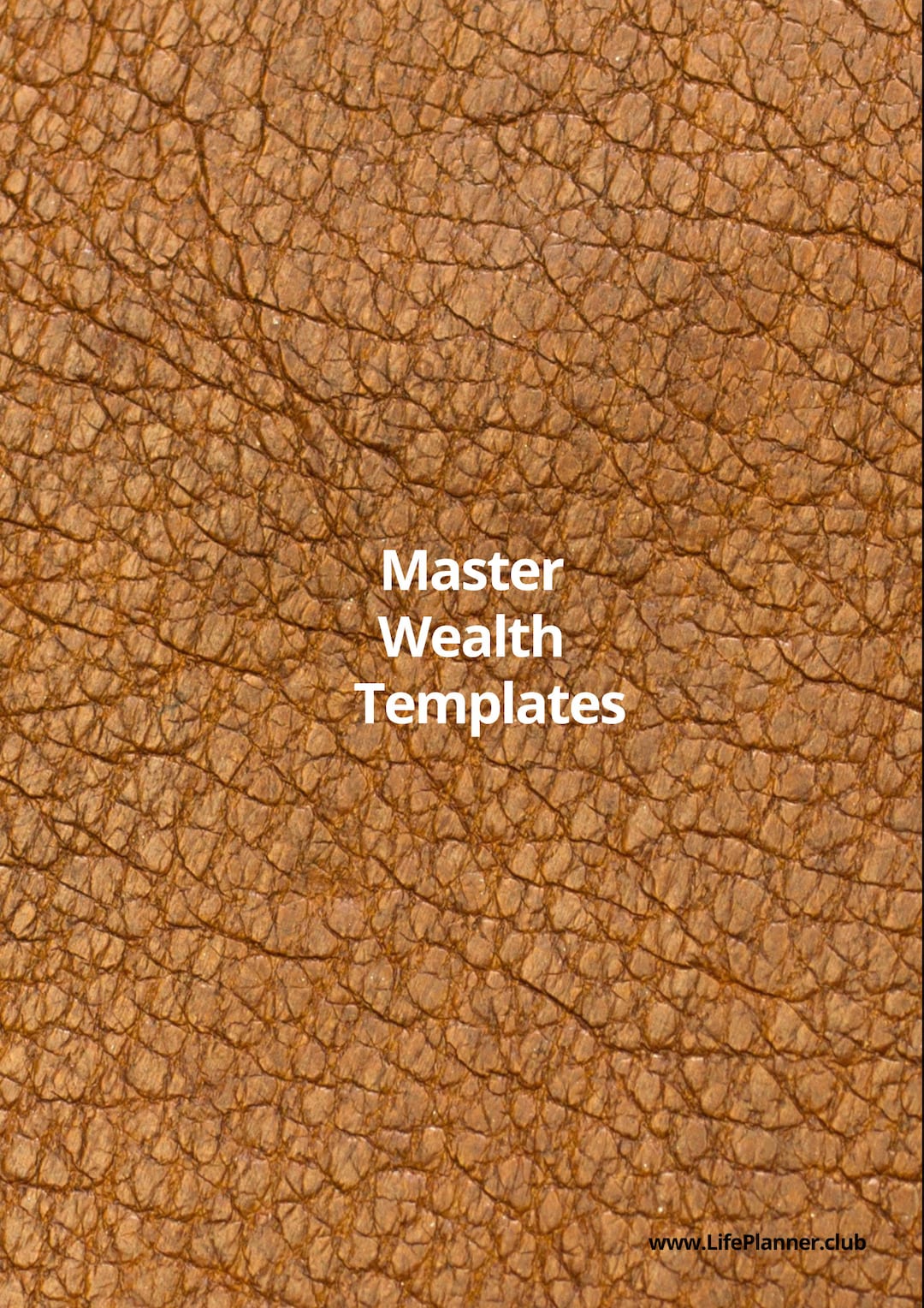 Wealth Planner Templates: Financial Goals, Budgeting, Savings ...