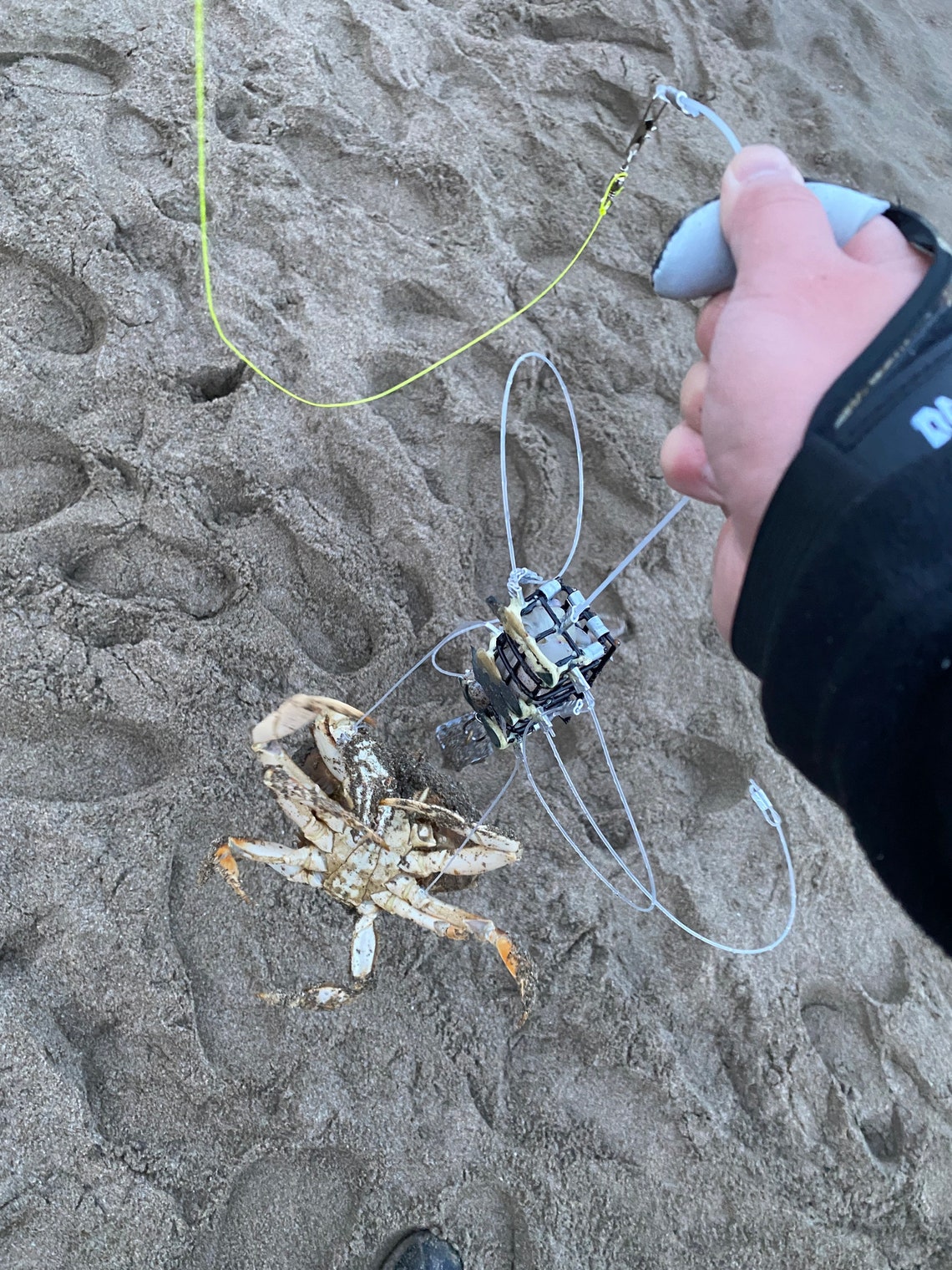Hand-made Crab Snares - Etsy