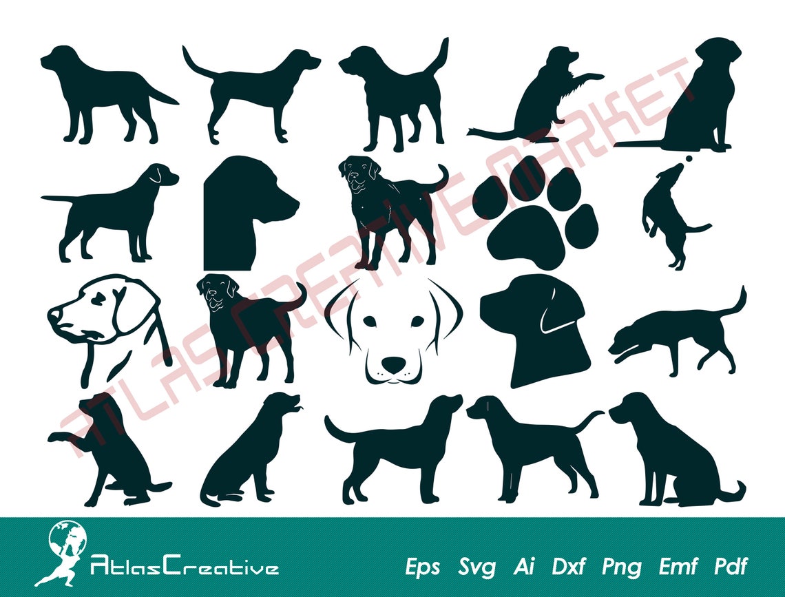 Labrador Svg 20 Bundle, Labrador Retriever Clipart, Labrador Silhouette ...