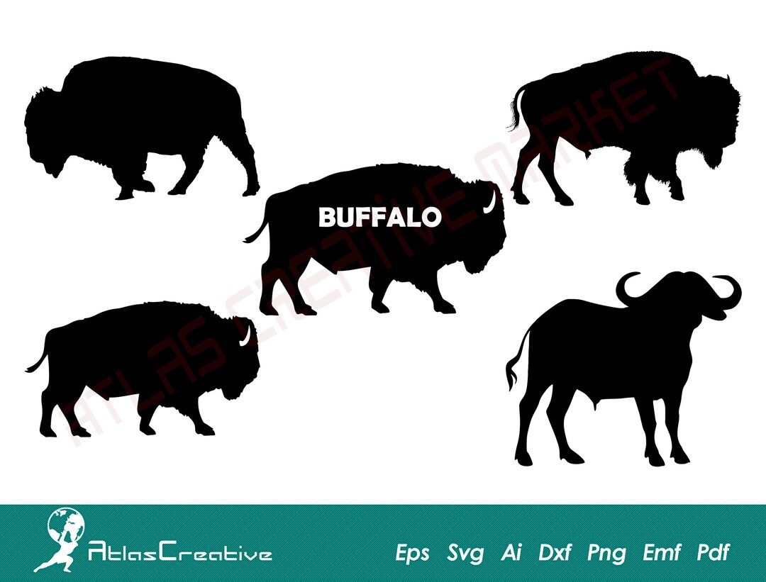 Buffalo Svg (5) Desings, American Bison Silhouette, Bisons, Buffalo ...